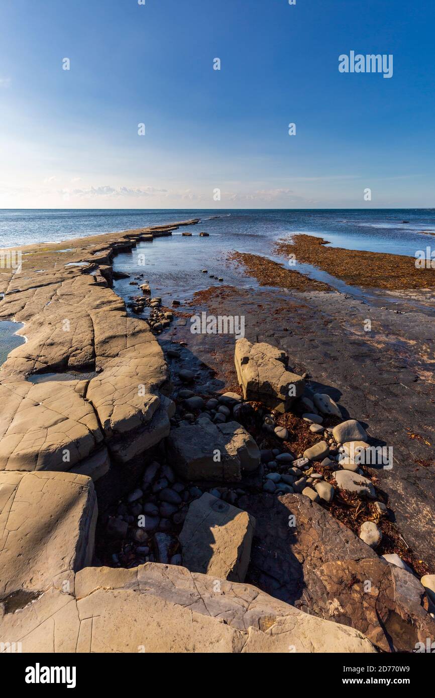 A seam of fossil rich mudstone and shale extending into the sea at ...