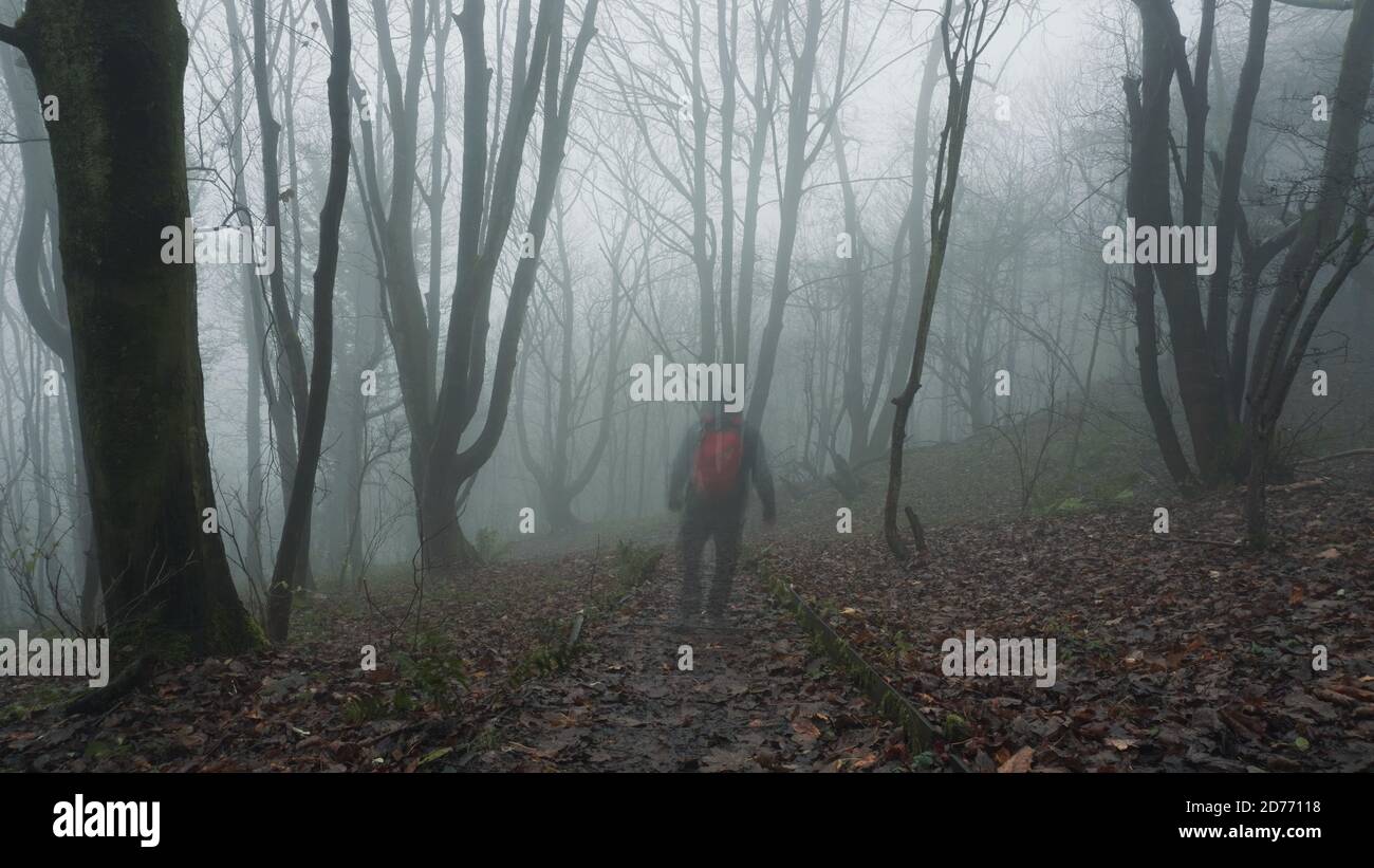 A ghostly blurred hooded figure. Standing in a forest on a spooky foggy ...