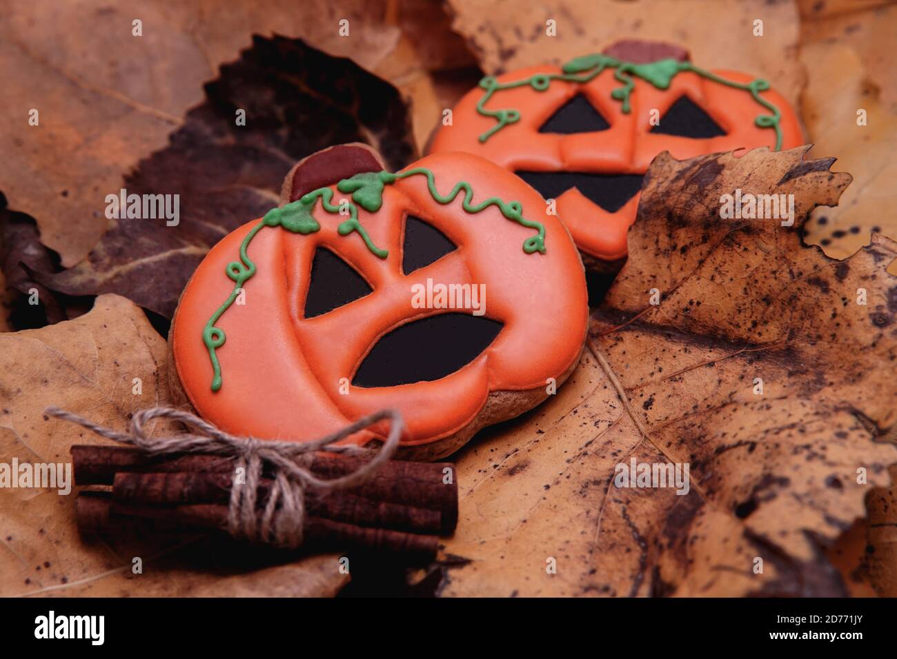 Halloween ginger cookies hi-res stock photography and images - Alamy