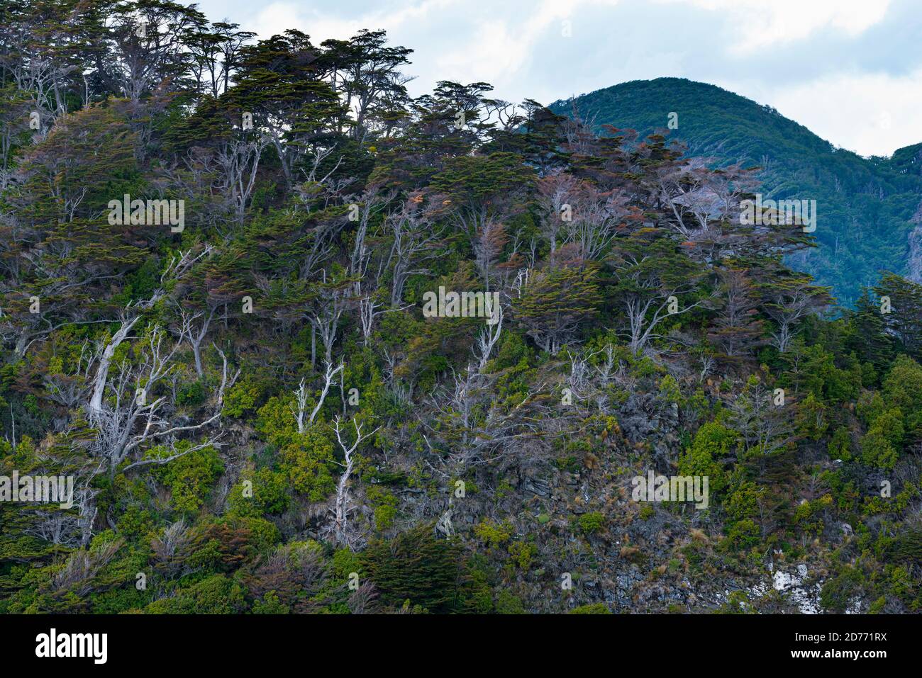 Wulaia Bay High Resolution Stock Photography and Images - Alamy