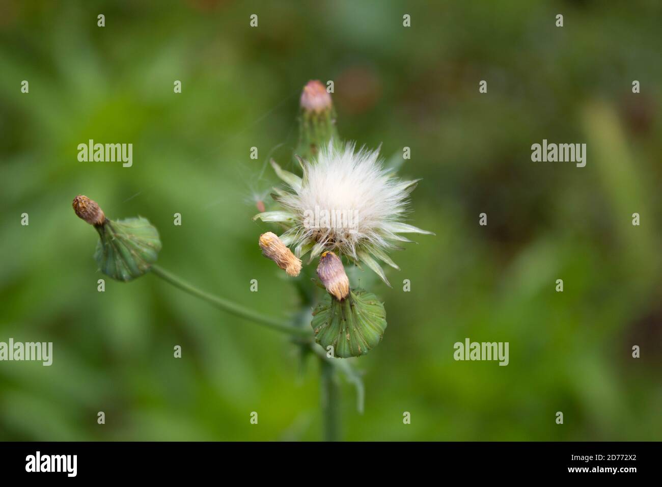 Stockphoto art hi-res stock photography and images - Alamy