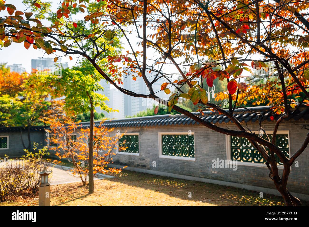 Wolhwawon hi-res stock photography and images - Alamy