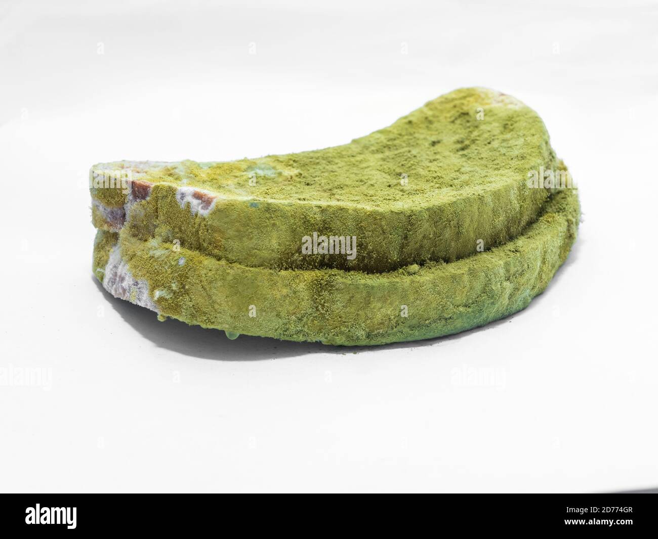 A piece of bread covered with green mold on a white background isolate ...