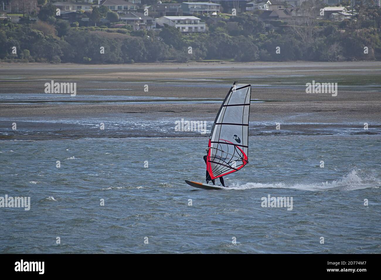 Tamaki river hi-res stock photography and images - Alamy