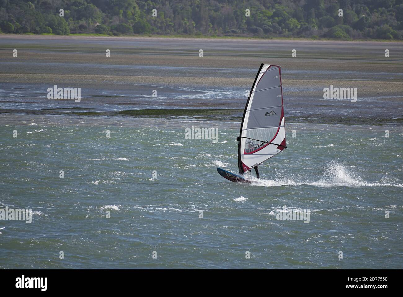 Tamaki river hi-res stock photography and images - Alamy