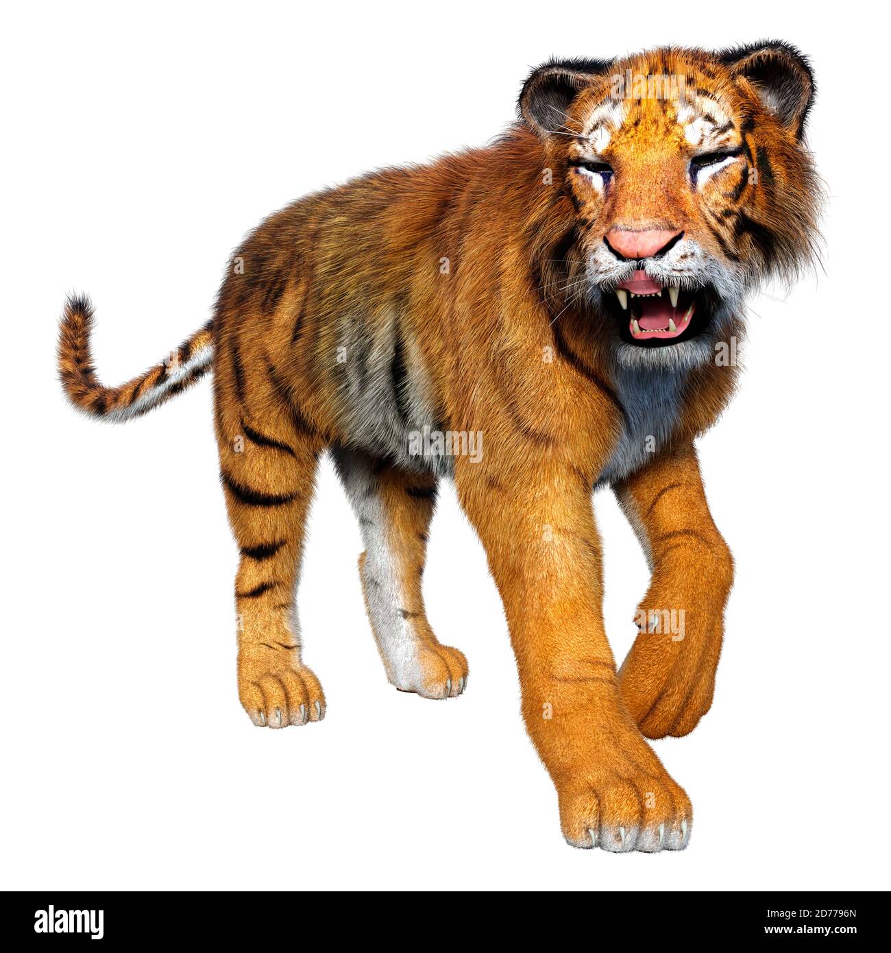 3D rendering of a big cat tiger isolated on white background Stock ...