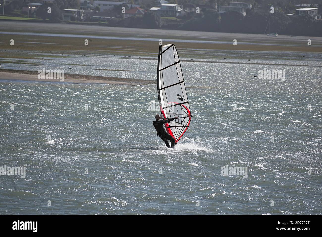 Tamaki river hi-res stock photography and images - Alamy