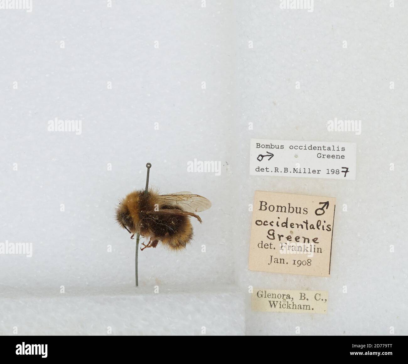 Glenora, Regional District of Kitimat-Stikine, British Columbia, Canada ...