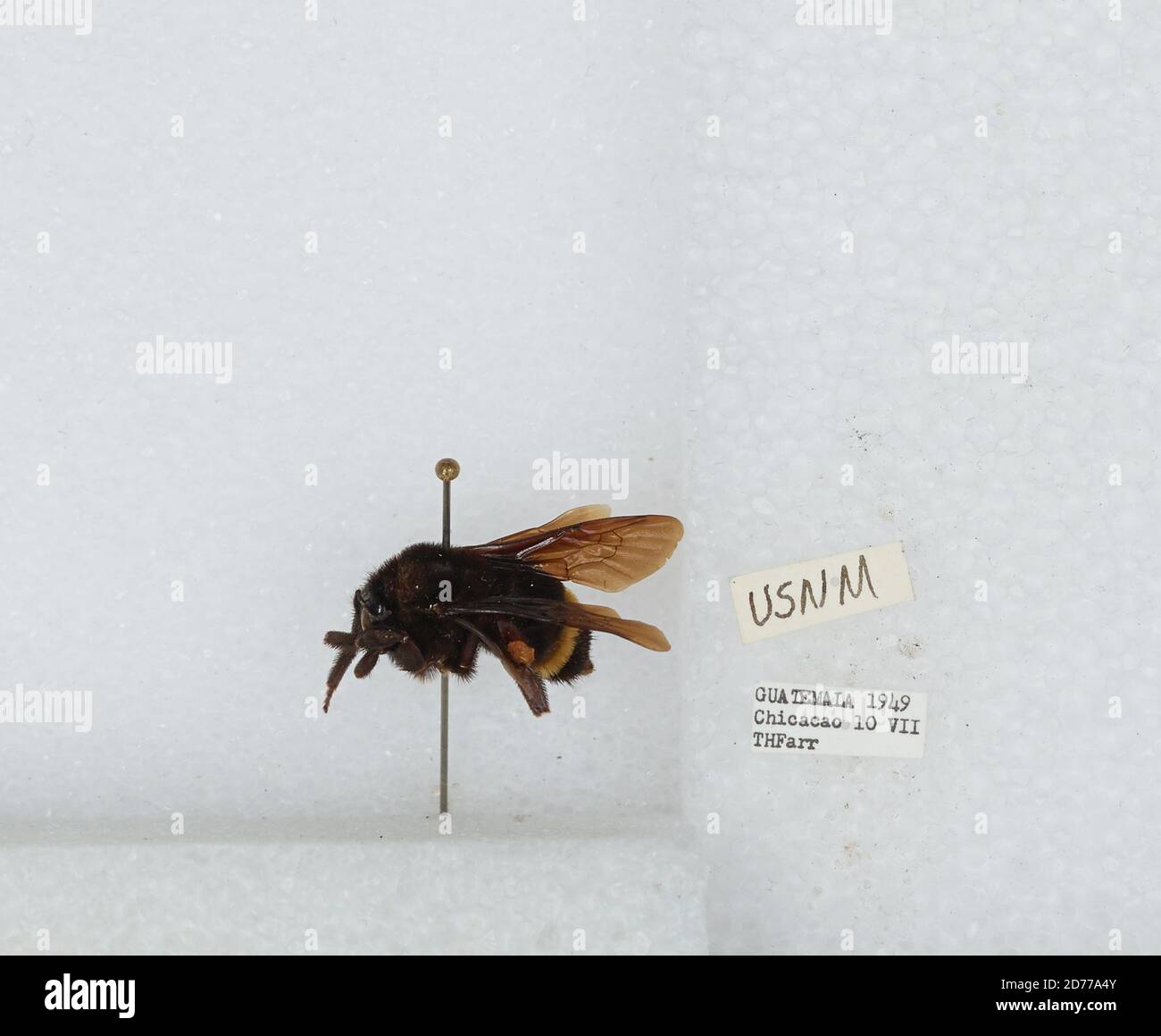 Municipio de chicacao hi-res stock photography and images - Alamy