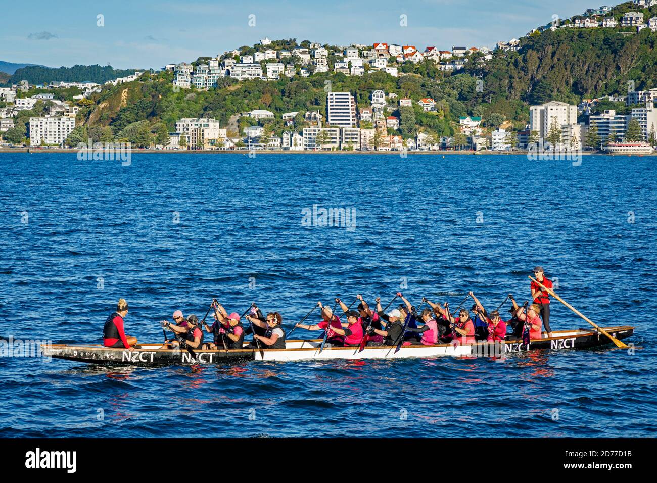 An all female Dragon Boat practice session in Lambton Harbour ...