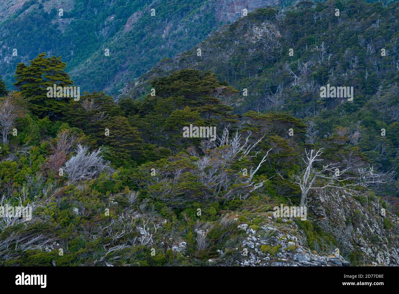 Wulaia Bay High Resolution Stock Photography and Images - Alamy
