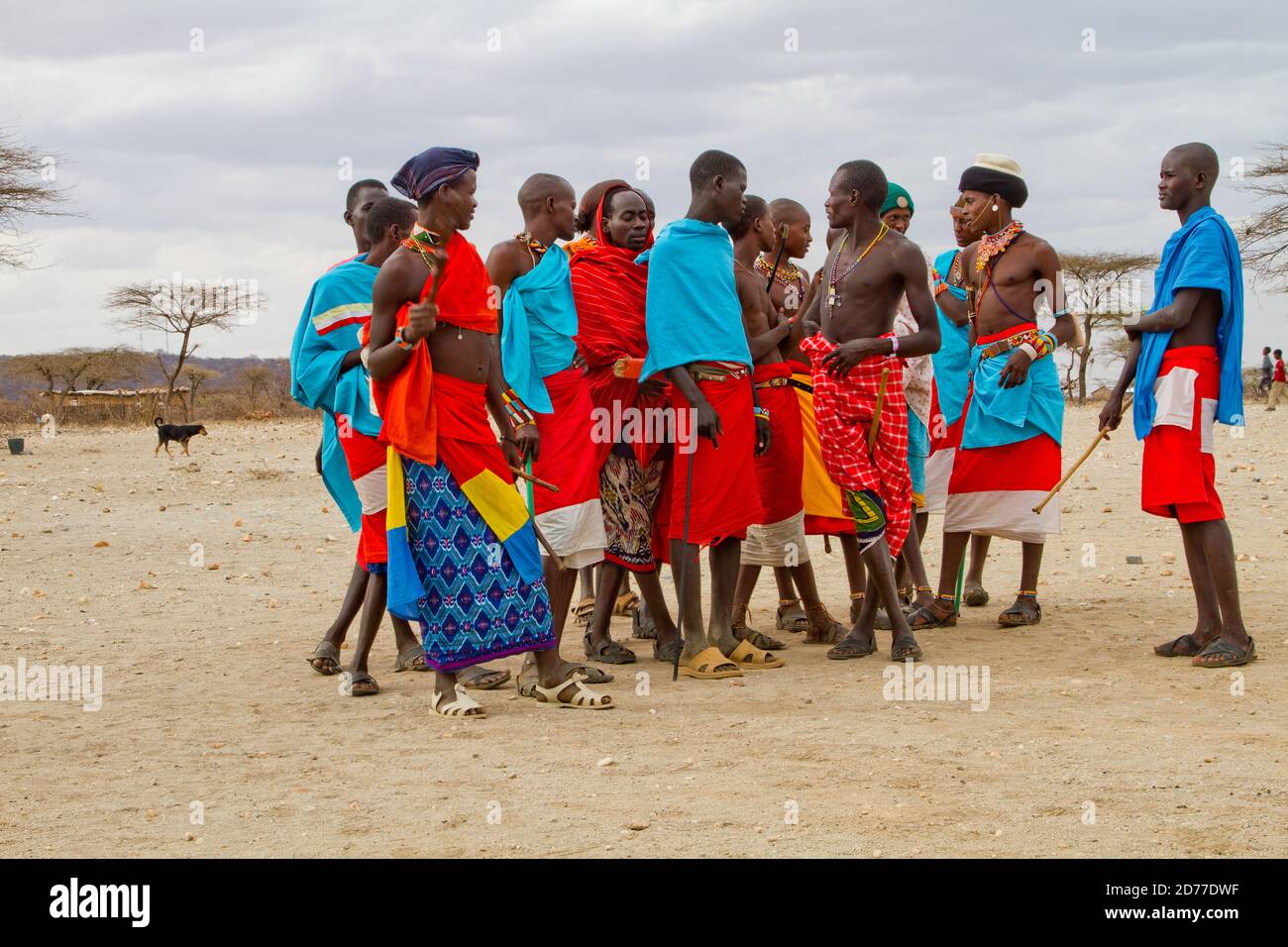 Members of the Samburu tribe in a traditional dance, Kenya. The Samburu ...