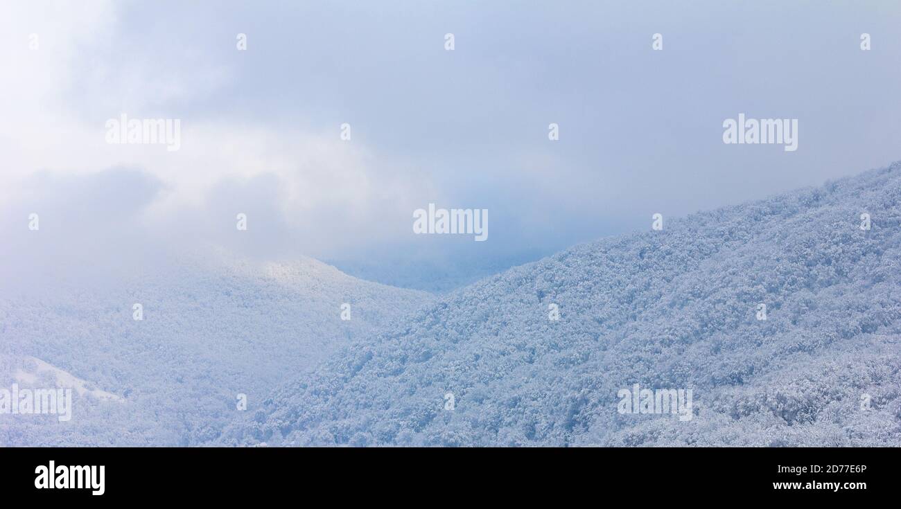forest hills in clouds and snow in the early winter morning Stock Photo - Alamy