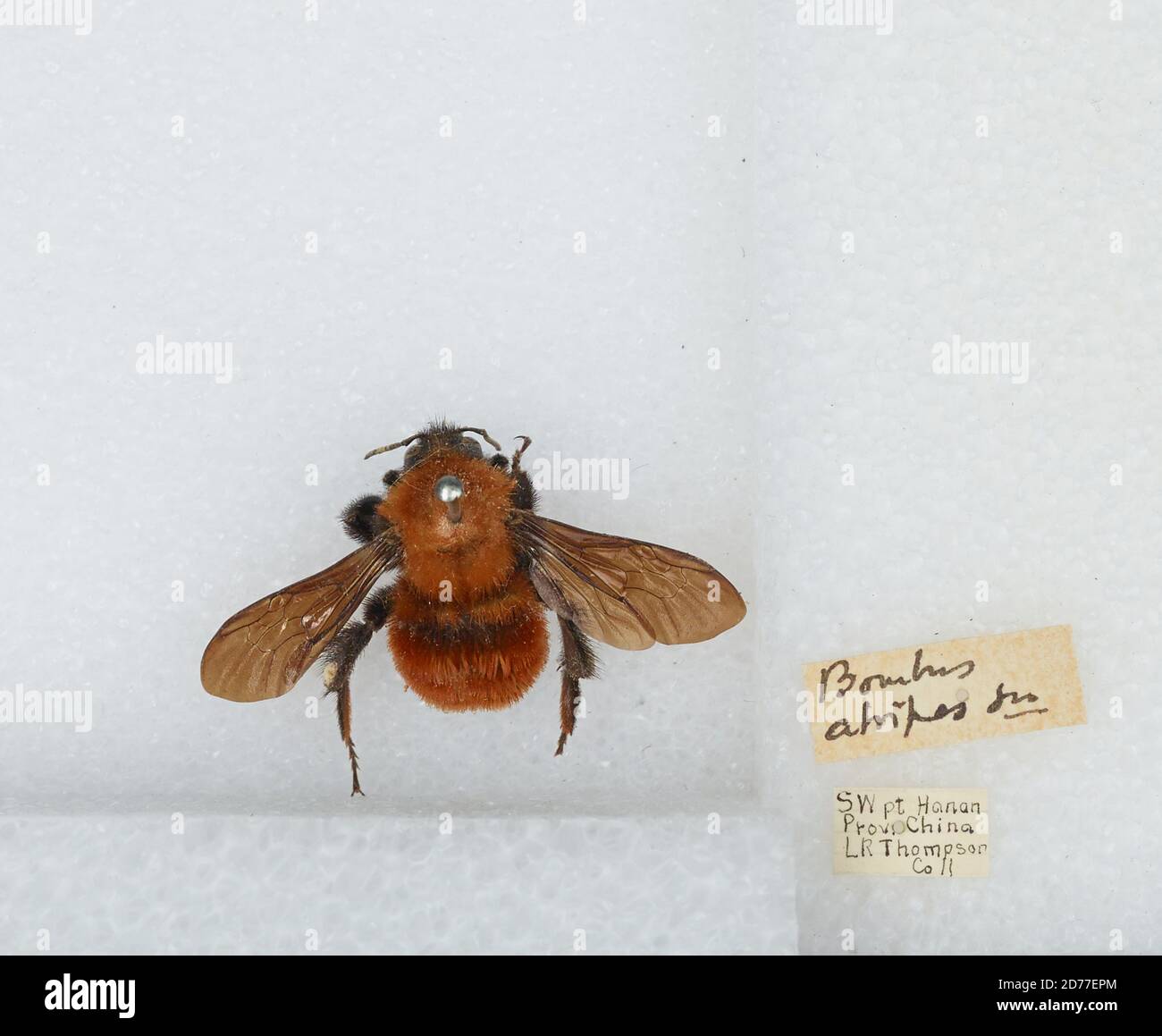 South west point hanan province hi-res stock photography and images - Alamy