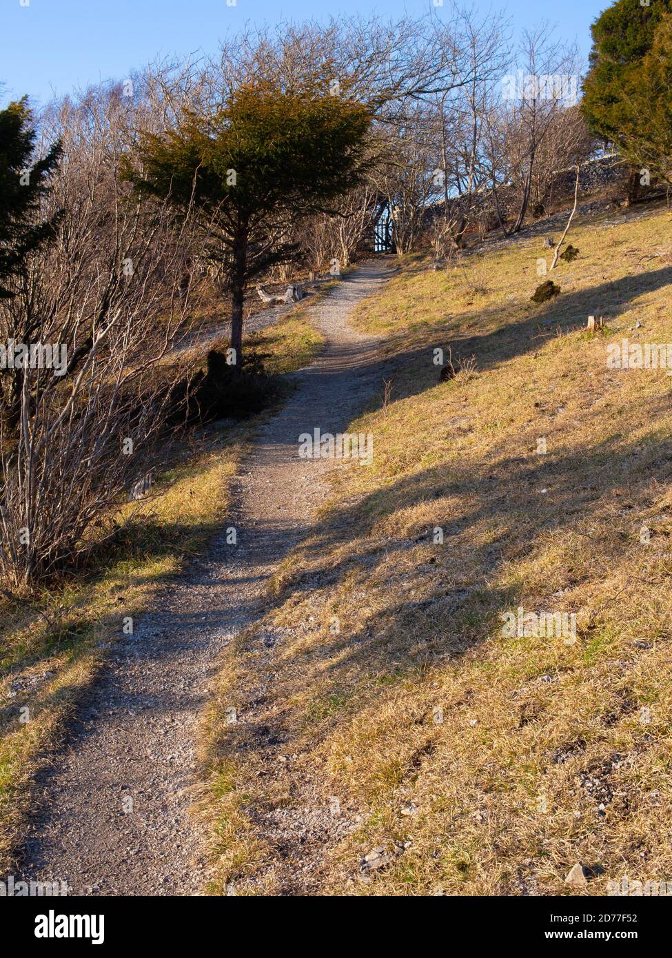 Arnside and Silverdale, Cumbria, England Stock Photo - Alamy