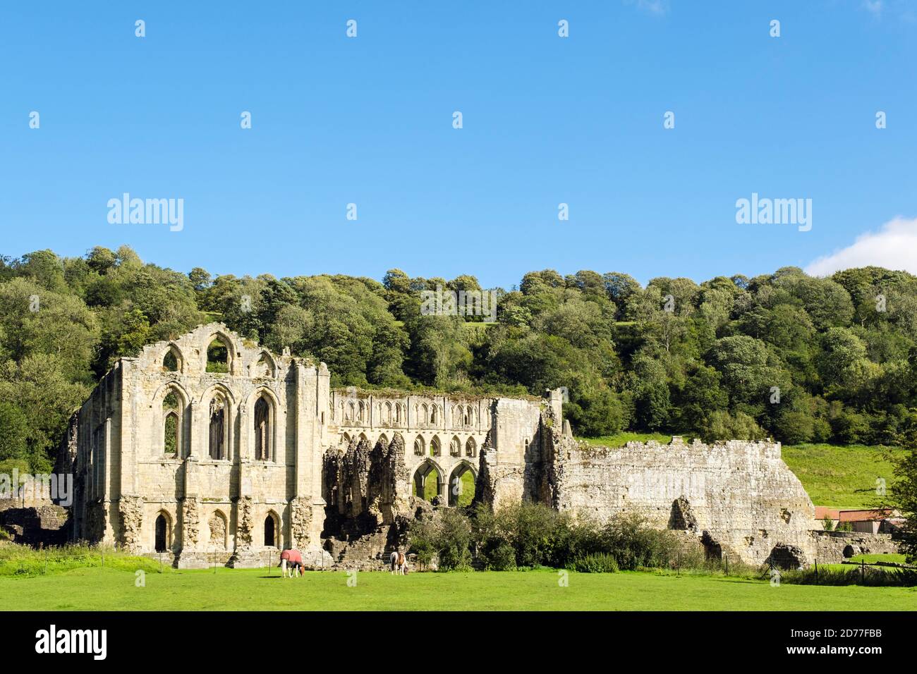 Rievaulx Abbey 12th century Cistercian monastery ruins in North York ...