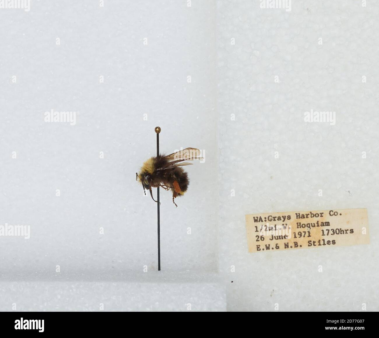 1/2 mile west of Hoquiam, Grays Harbor, Washington, United States ...