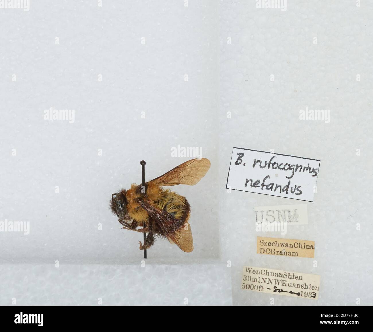 30 miles north-northwest of Kuanshien, Wen Chuan Shien, Sichuan, China ...