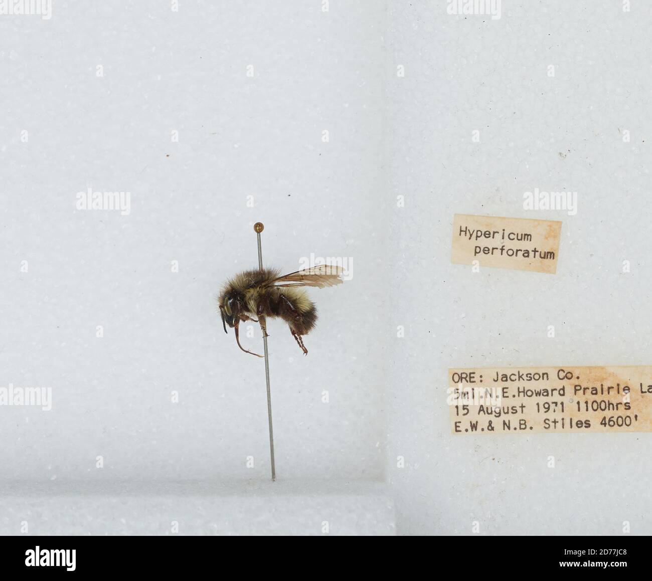 5 miles northeast of Howard Prairie Lake, Jackson, Oregon, United ...