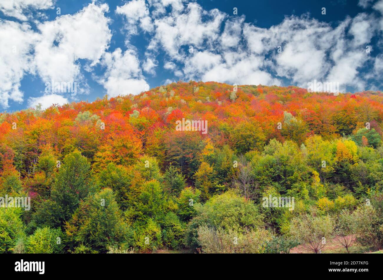Fall landscape in the mountains. Mountain autumn scene with colorful ...