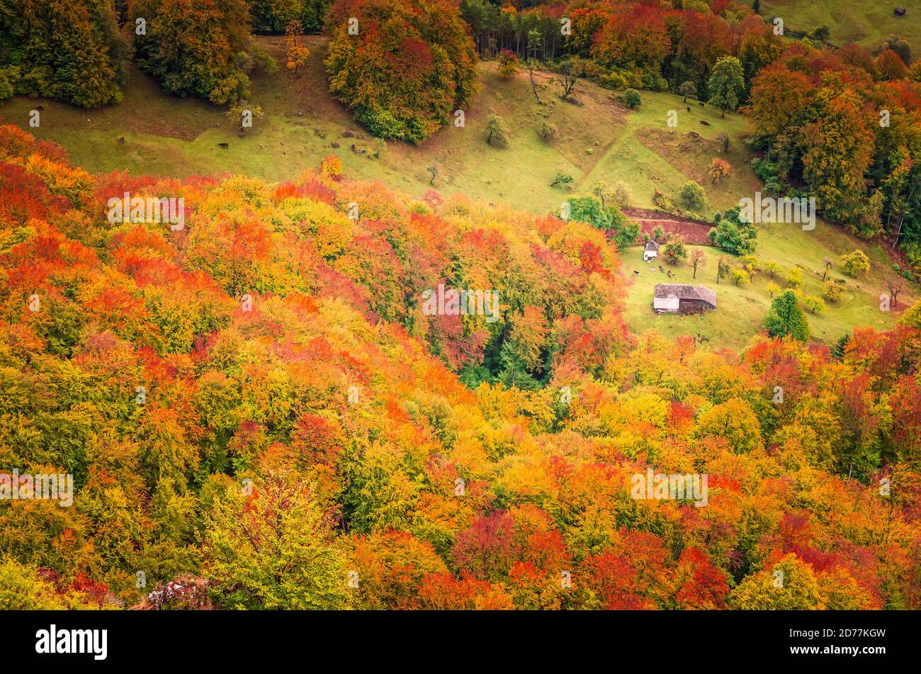Fall landscape in the mountains. Mountain autumn scene with colorful ...