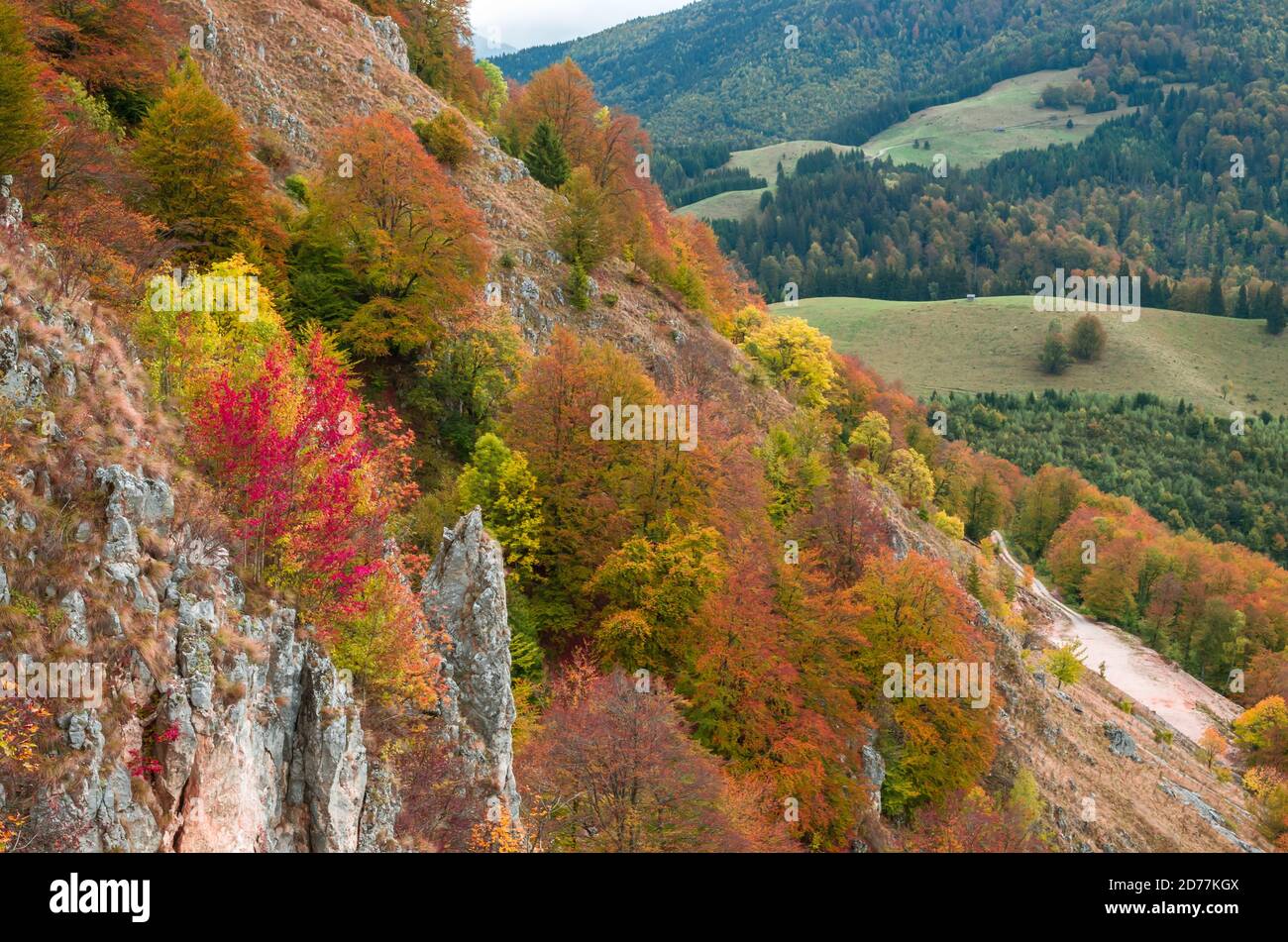 Fall landscape in the mountains. Mountain autumn scene with colorful ...