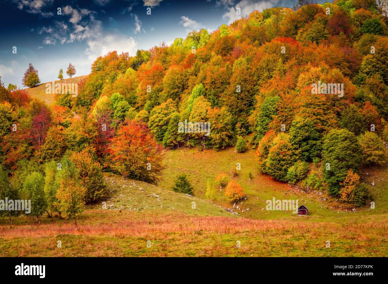 Fall landscape in the mountains. Mountain autumn scene with colorful ...