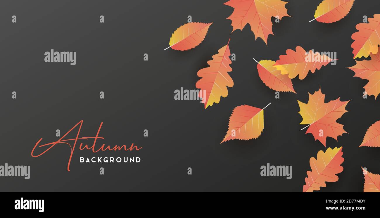Autumn seasonal background with autumn leaves lay on dark background ...