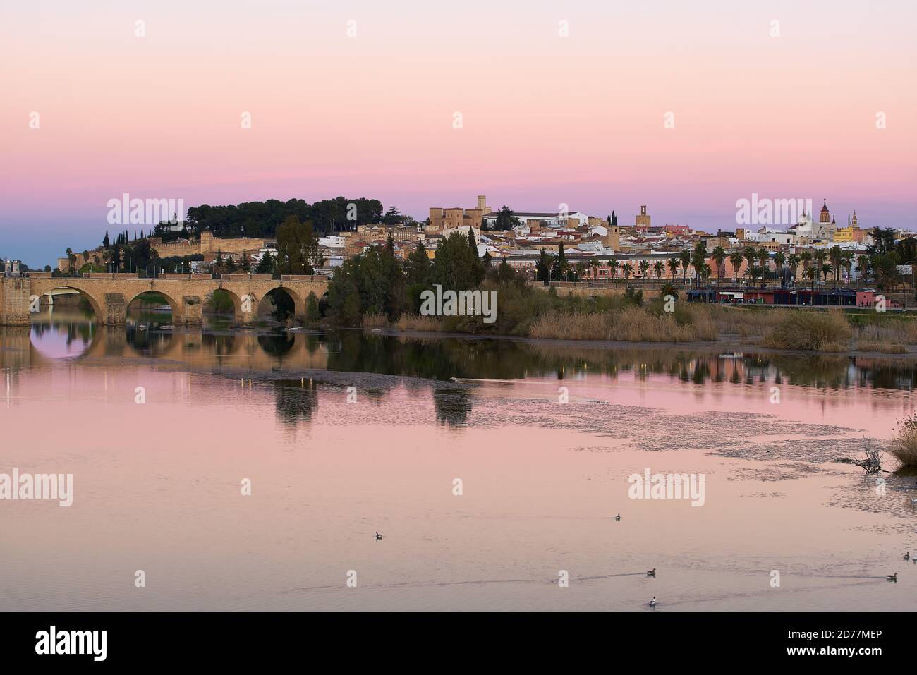 Badajoz palmas bridge sunset hi-res stock photography and images - Alamy