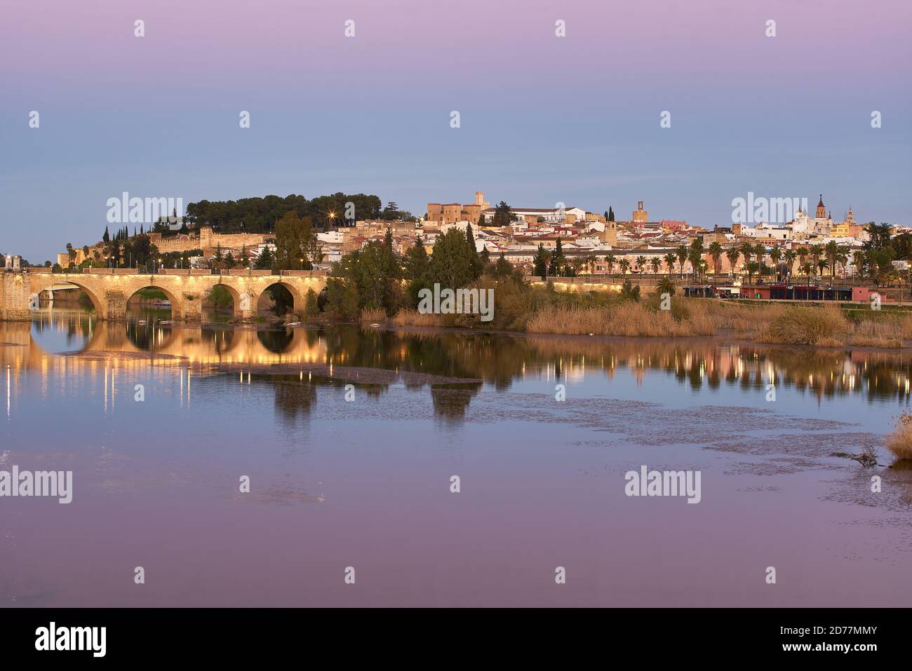 Badajoz palmas bridge sunset hi-res stock photography and images - Alamy