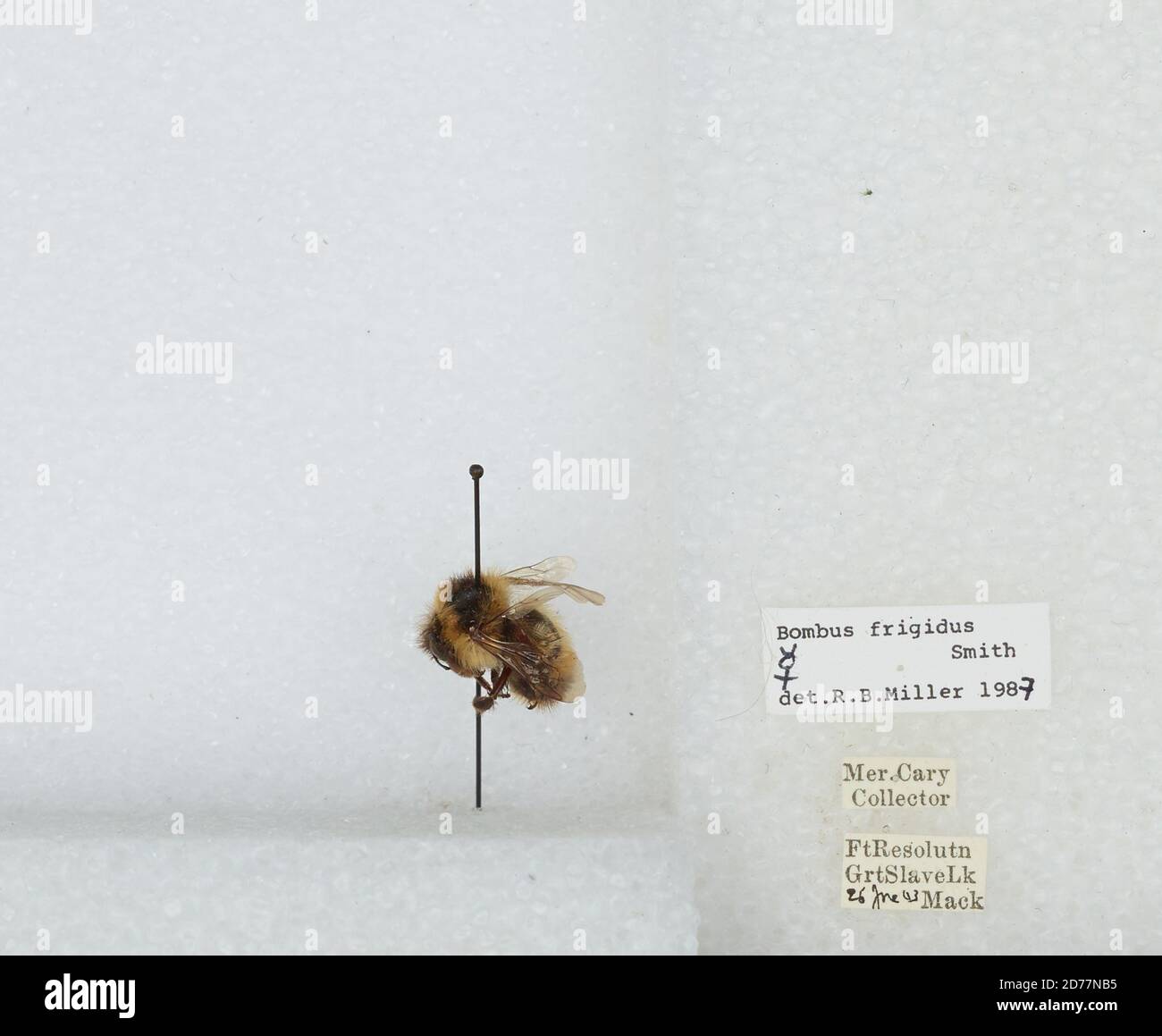 Fort Resolution, Great Slave Lake, Mack, Northwest Territories, Canada ...