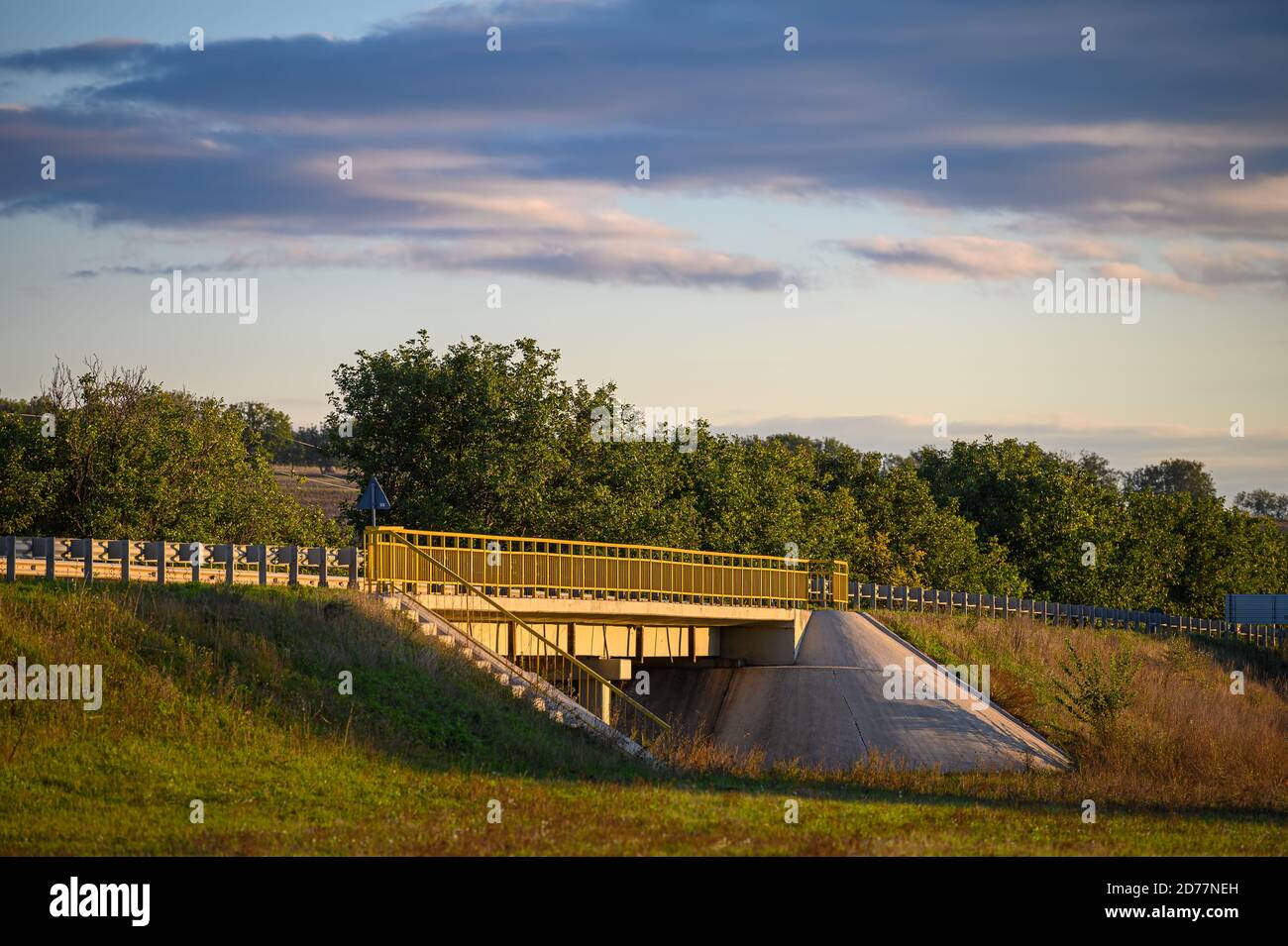 Road bridge in sunset rays Stock Photo - Alamy