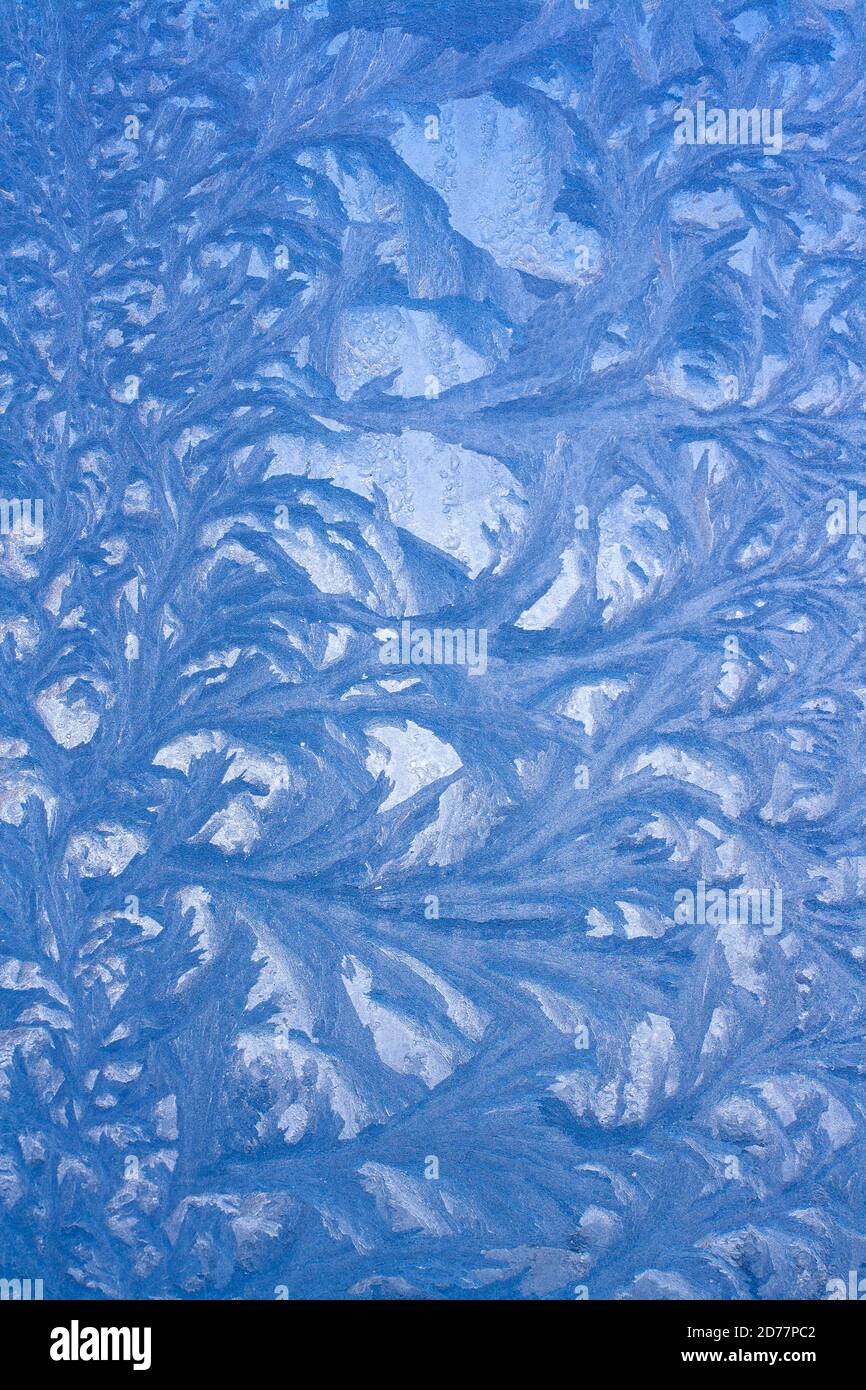 Ice pattern on glass. A beautiful drawing on a frozen window. Vertical ...