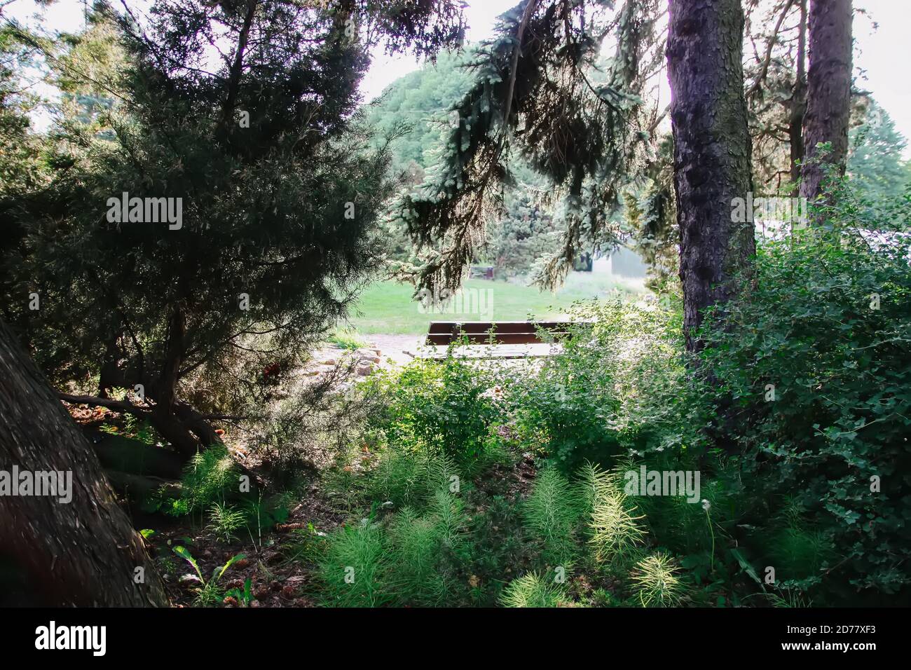 Wooden bench in the city park at spring Stock Photo - Alamy