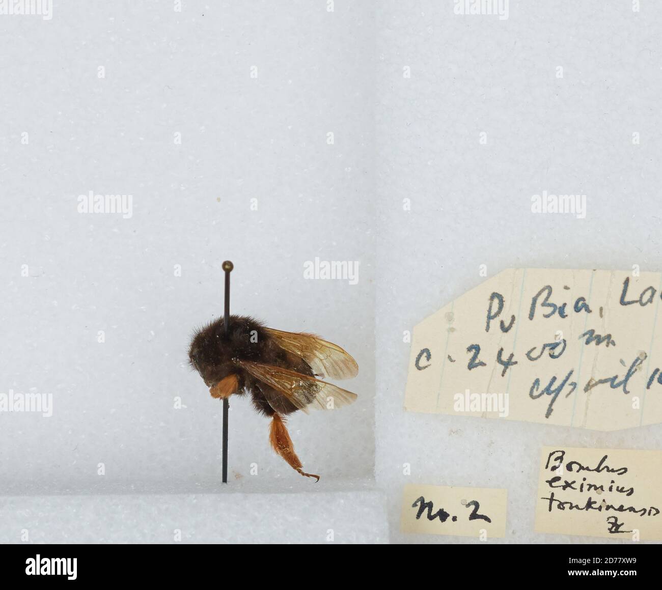 Laos phou bia hi-res stock photography and images - Alamy