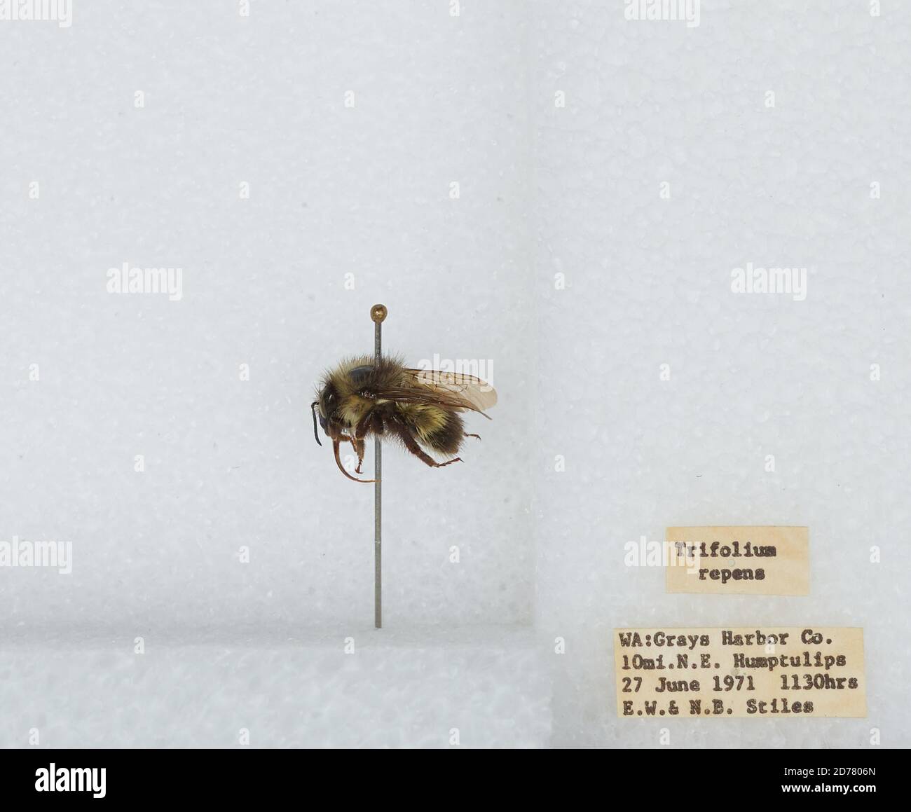 10 miles northeast of Humptulips, Grays Harbor, Washington, United ...