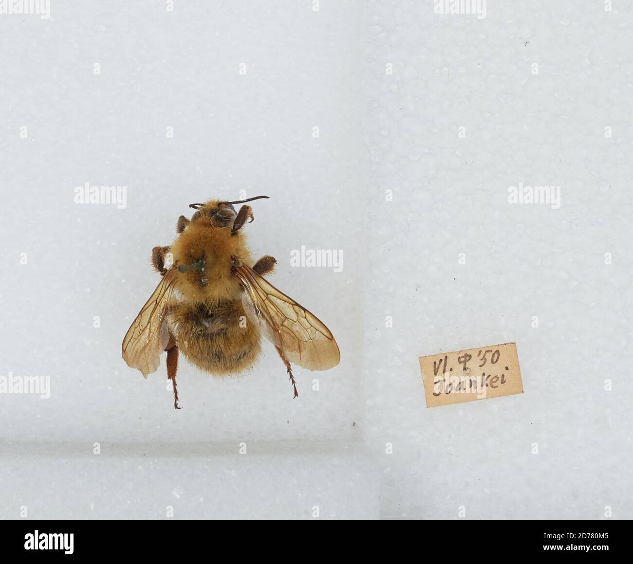 Joankei hi-res stock photography and images - Alamy