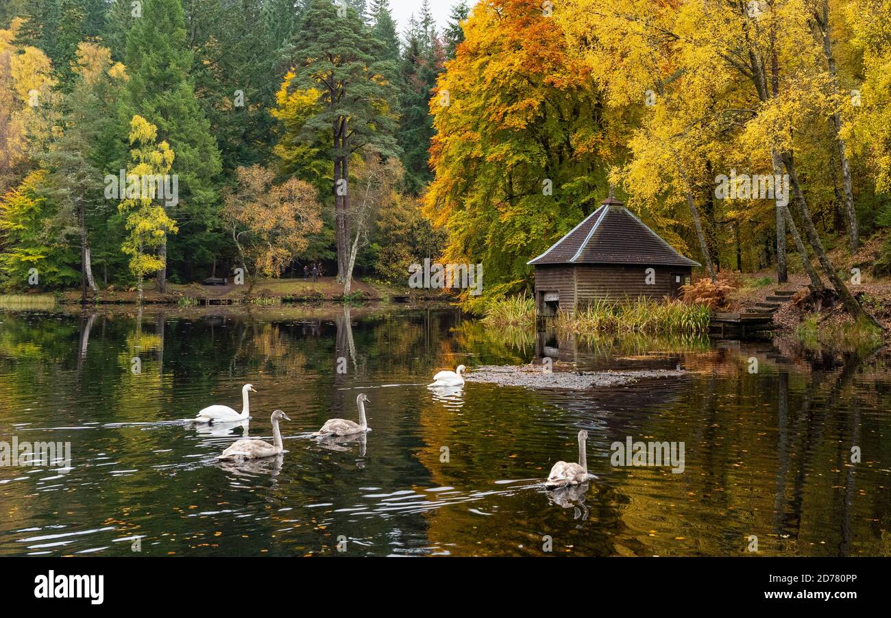Autumn colours on woodland foliage and wooden boathouse at Loch Dunmore ...