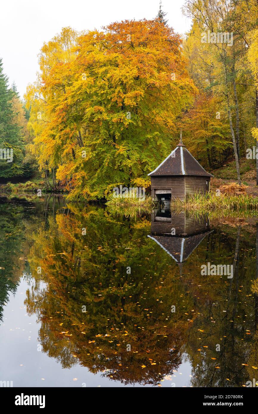 Autumn colours on woodland foliage and wooden boathouse at Loch Dunmore ...