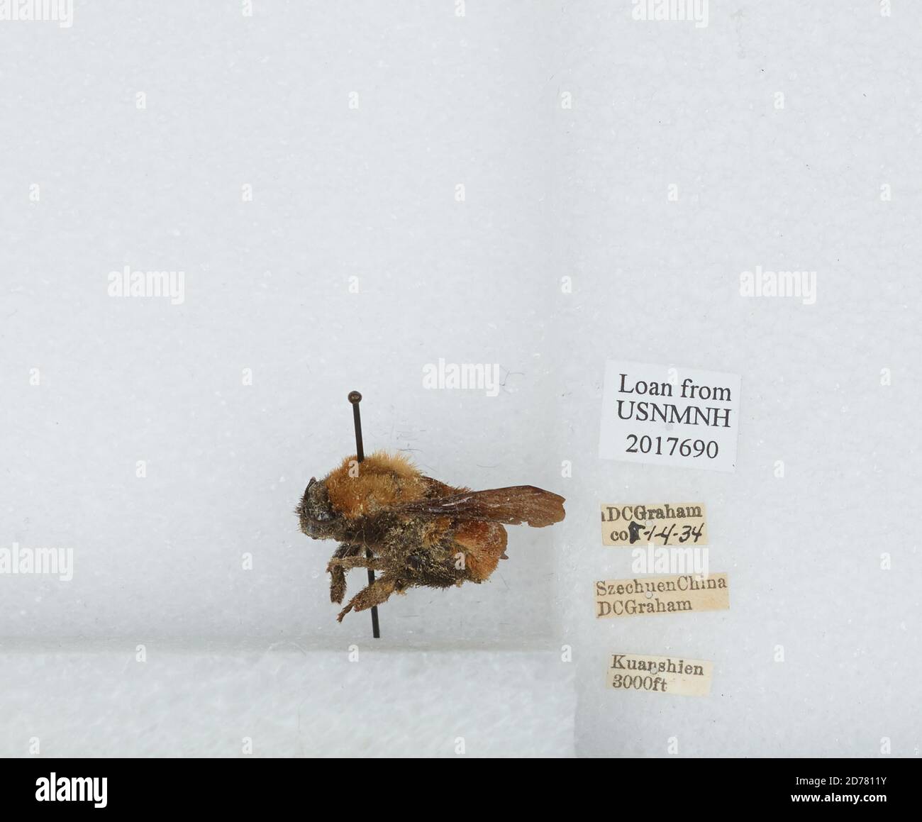 Kwanhsien hi-res stock photography and images - Alamy