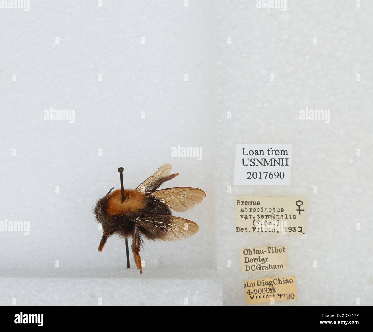 Formerly lu ding chiao hi-res stock photography and images - Alamy