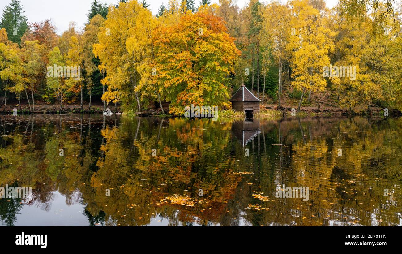 Autumn colours on woodland foliage and wooden boathouse at Loch Dunmore ...