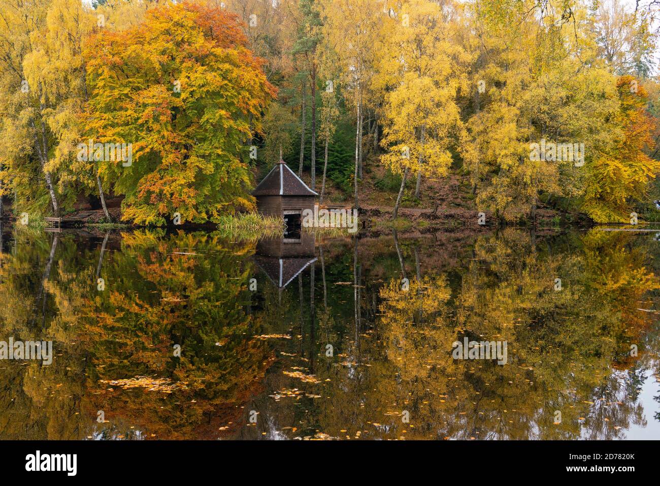 Autumn colours on woodland foliage and wooden boathouse at Loch Dunmore ...