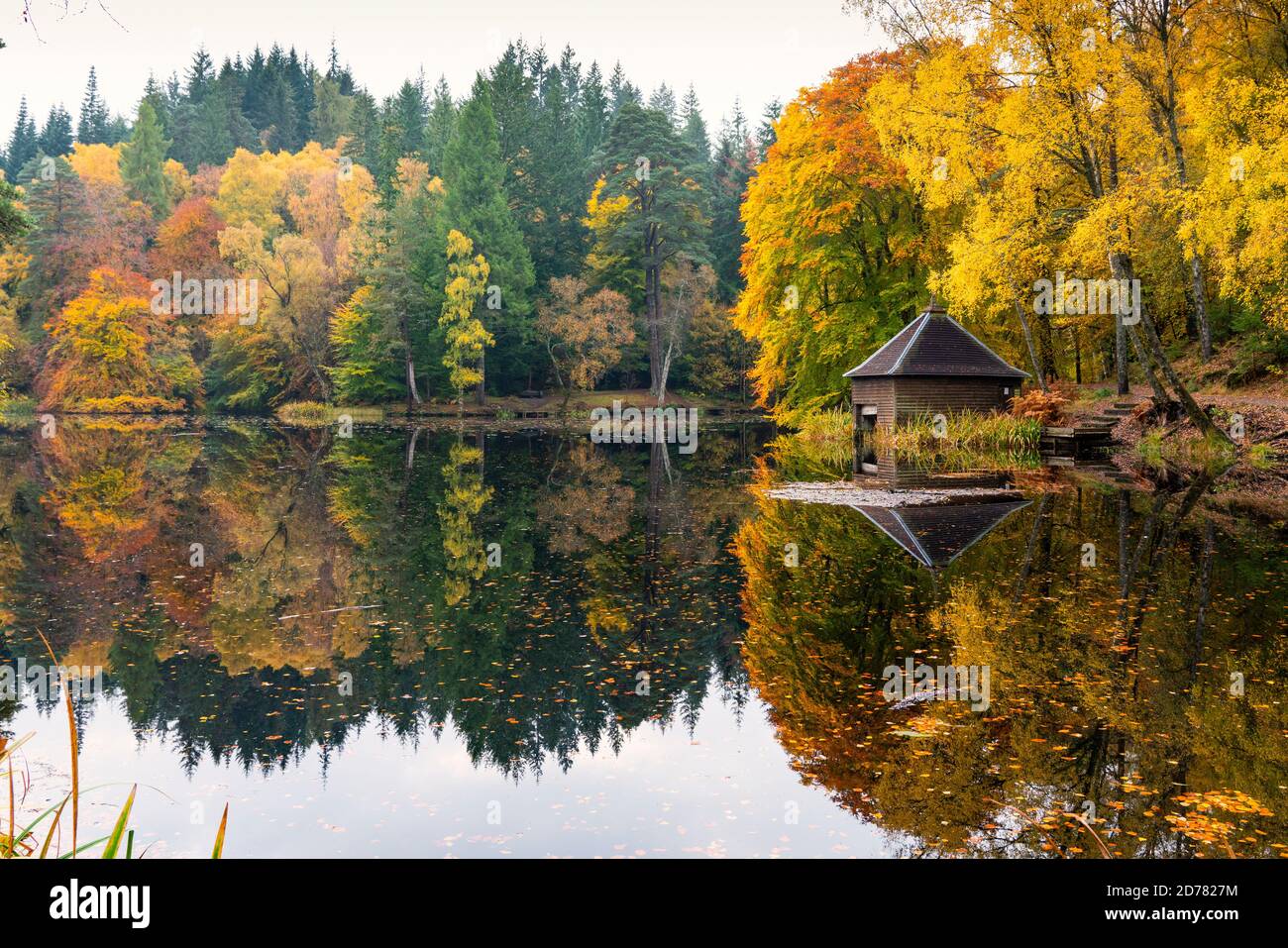 Autumn colours on woodland foliage and wooden boathouse at Loch Dunmore ...