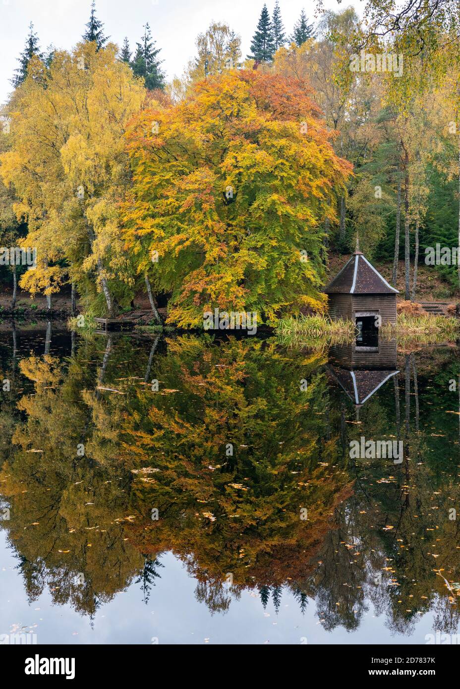 Autumn colours on woodland foliage and wooden boathouse at Loch Dunmore ...