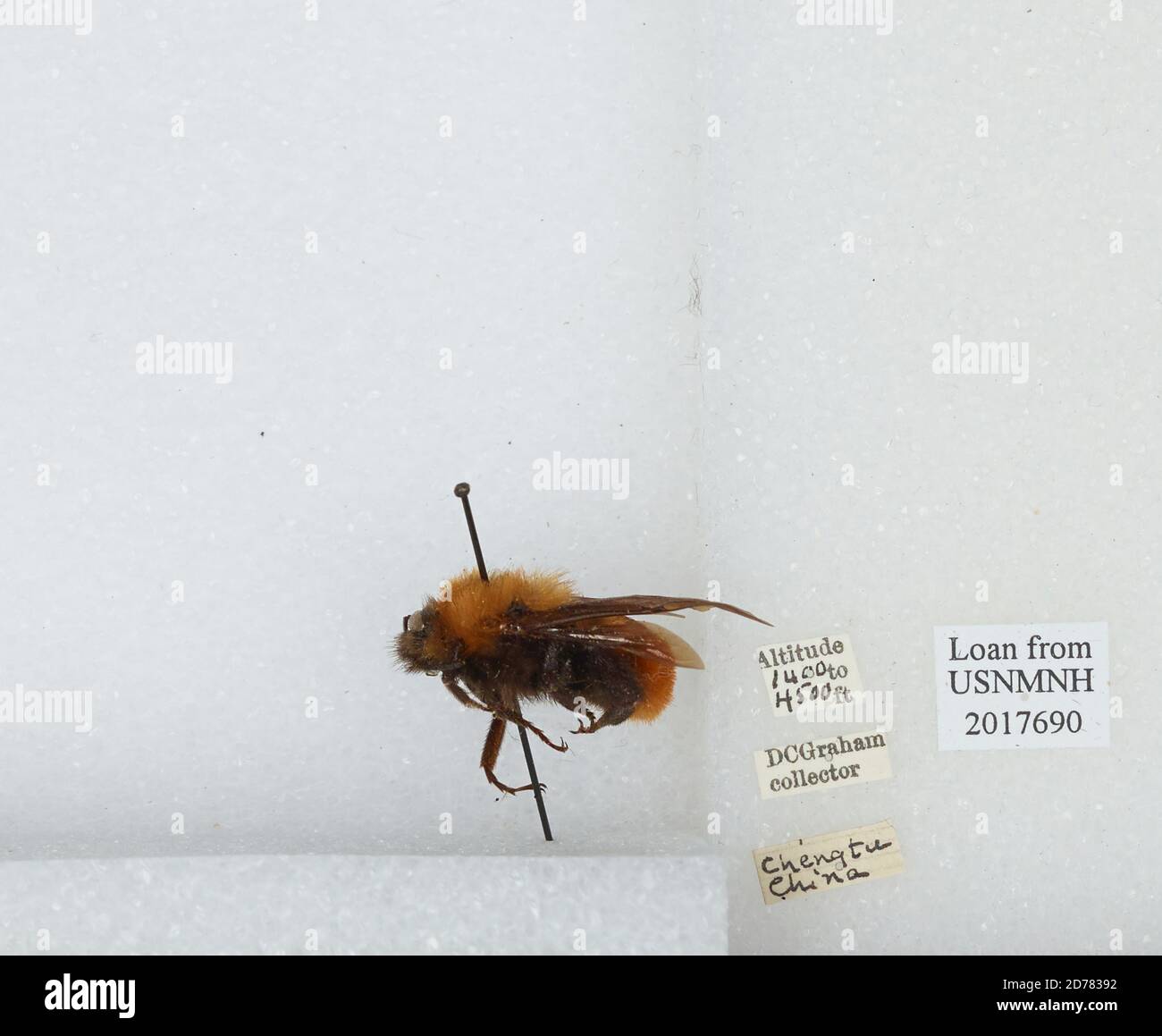 Sichuan provenance hi-res stock photography and images - Alamy