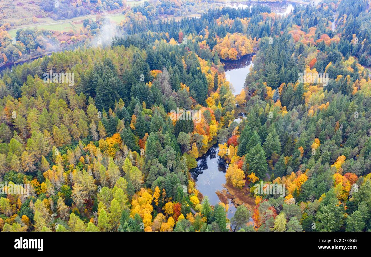 Aerial view of autumn colours of woodland at Loch Dunmore in Faskally ...