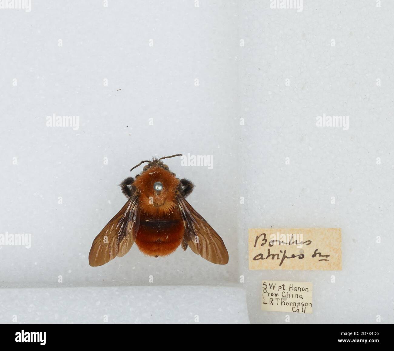 Hanan province hi-res stock photography and images - Alamy