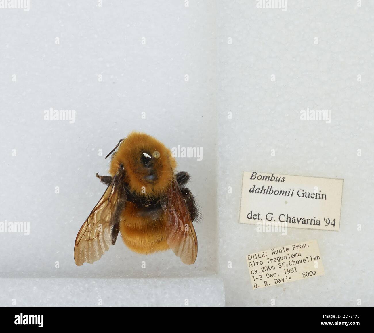 Ca 20 km se chovellen hi-res stock photography and images - Alamy