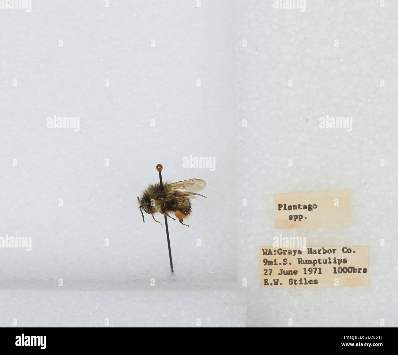 9 miles south of Humptulips, Grays Harbor, Washington, United States ...